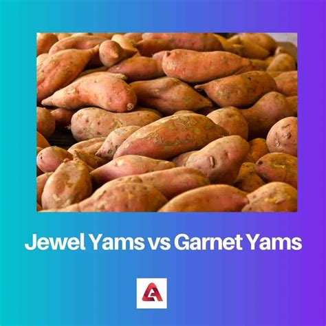 Jewel Vs Garnet Yams Sự Khác Biệt Và So Sánh