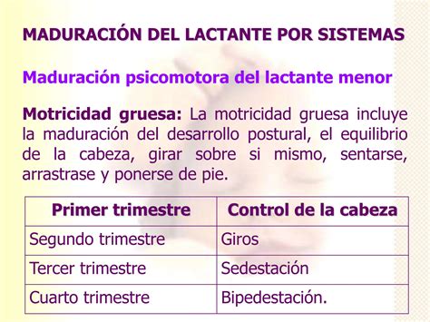 Crecimiento Y Desarrollo Del Lactante Menorppt