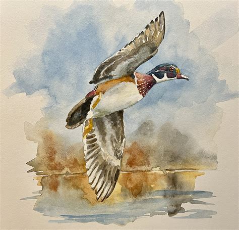 Unique Wildlife Watercolor Artist In Colorado — Kobald Art