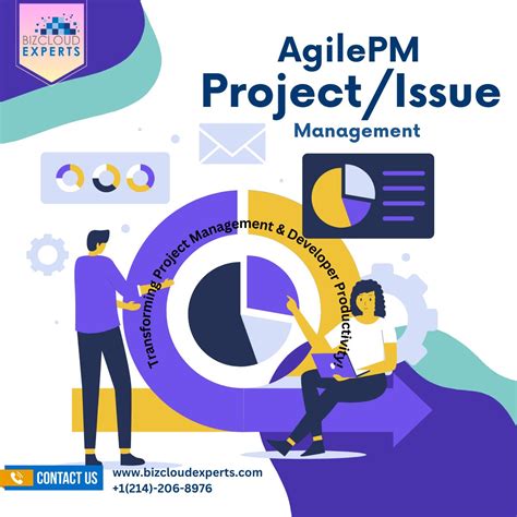Agilepm Projectmanagement Productivity Redmine Application