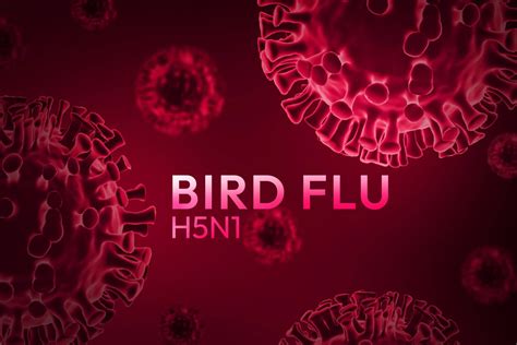 Bird Flu Science Vs Silence Concord Seminars