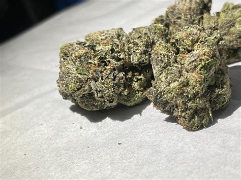 Greasy Pink From Chronic Farms Apr Rmompics