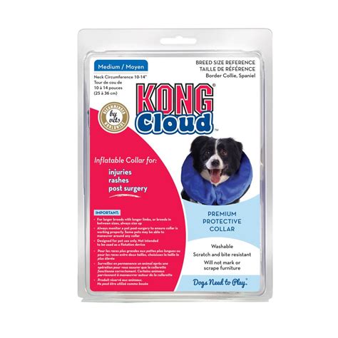 Kong Cloud Provet