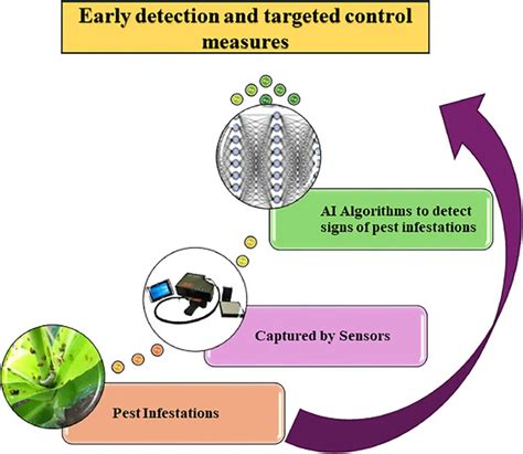 Ai Breakthrough In Pest Detection Promises Sustainable Farming Solutions Agritech Insights