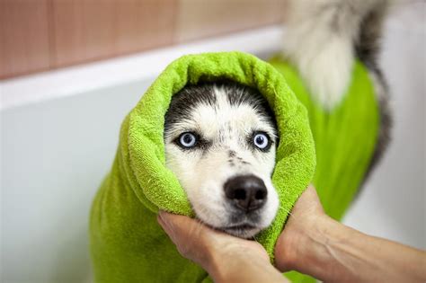 Yukis Bath Day Scrolller