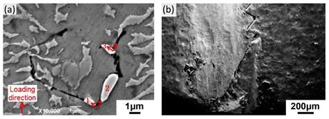 An Overview Of Thermal Exposure On Microstructural Degradation And