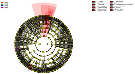 Analysis Of The Synergistic Effect Of Endophytic Bacteria And Metabolites On Yield In Soybean