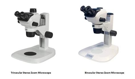 Stereo Microscopes A Guide To Types Uses And Choosing The Right One