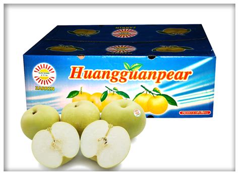 Gallery Zarrin Group