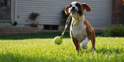 Ajax Con Fetch Api Blog Escola Espai