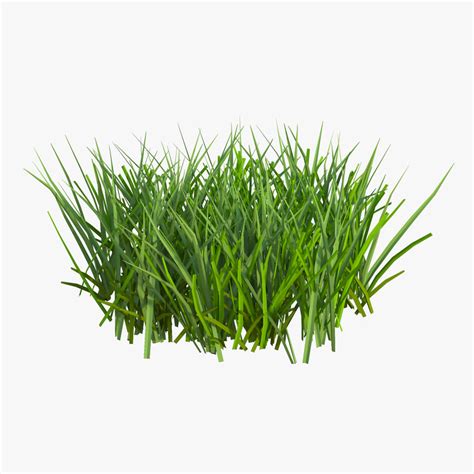 3d Grass 2