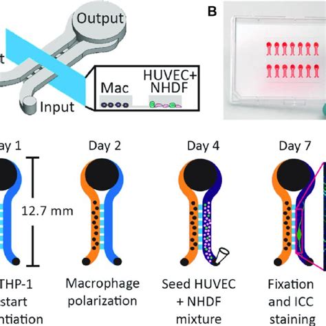 Fabrication And Operation Of A Multilayer Microfluidic Device Mmd For