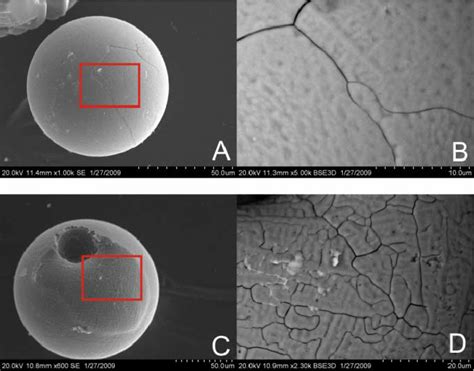 Examples Of Extraterrestrial Spherules A And B Spherule With Smooth