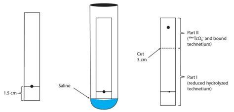 Kit For The Preparation Of Technetium Tc 99m Pentetate Curium Us Llc Fda