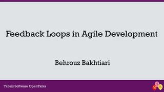 Feedback Loops In Agile Development PPT