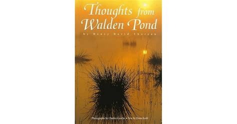 Thoughts From Walden Pond By Henry David Thoreau