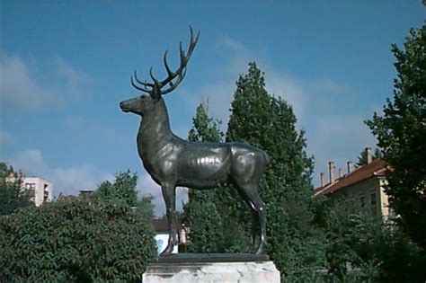 Szilvanapok Szarvason