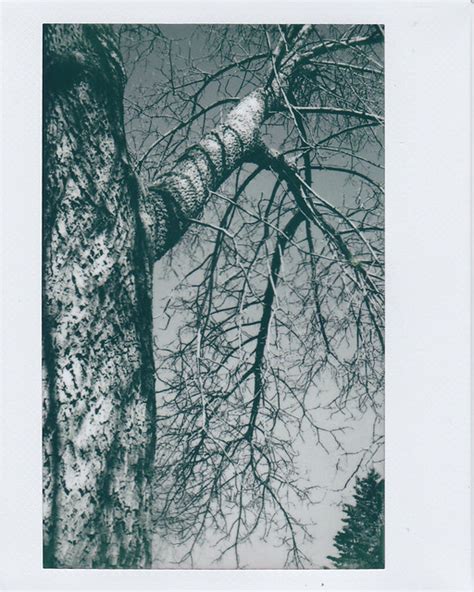 Flickriver Most Interesting Photos From Impossible Project Px70 Film Pool