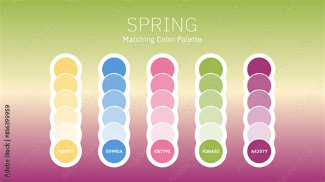 Set Of Spring Color Palette Combination In Rgb Hex Matching Color Palette Guide Swatch Catalog