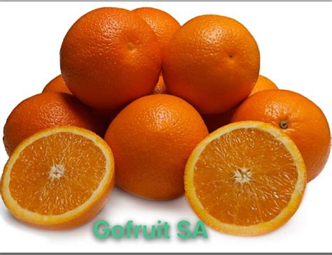 Andre Van Herk On Linkedin Oranges From South Africa Around The Corner Starting With The Early…