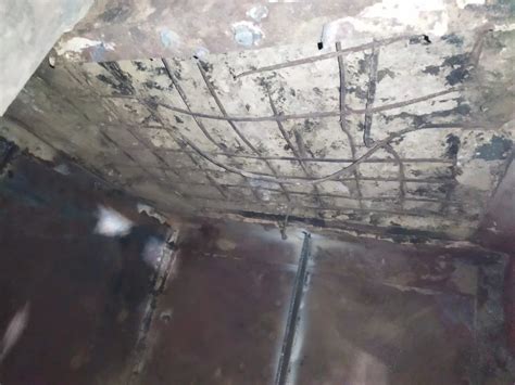 Concrete Damaged By Reinforcement Corrosion 8 Mm At Best Price In Pune