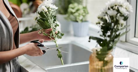 Caitlyn Bennett On Linkedin Does Your Policy Need To Be Refreshed And Renewed Reach Out Today For