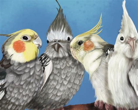 Printable Cockatiels Digital Art Download For Wall Art Crafts And