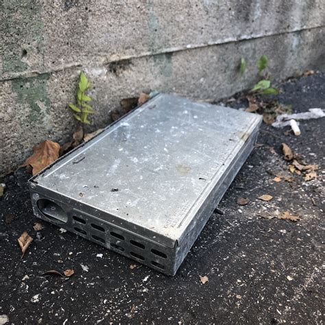 How To Choose Between Snap Traps And Multi Catch Traps Kness Pest Defense