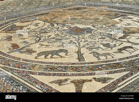 Célèbre Mosaïque Romaine Banque De Photographies Et Dimages à Haute