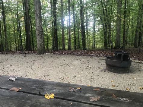 Site G001 Twin Knobs Campground