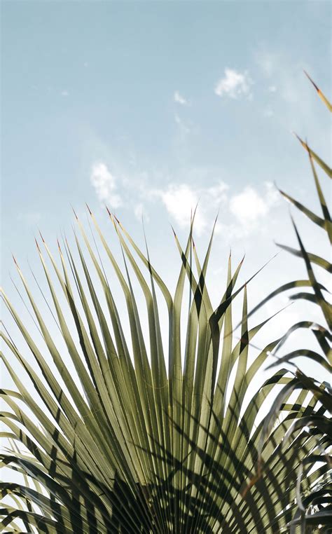 Useek Studio Careers