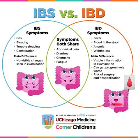 Blog Title Unraveling The Differences Ibd Vs Ibs Explained