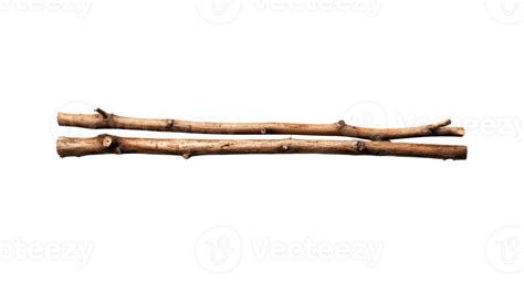 Two Natural Dry Brown Tree Branches Material For Crafts Cut Out