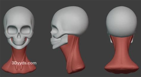 Zbrush风格化女人头部解剖基础模型amp人头人脸雕刻 3dyyds