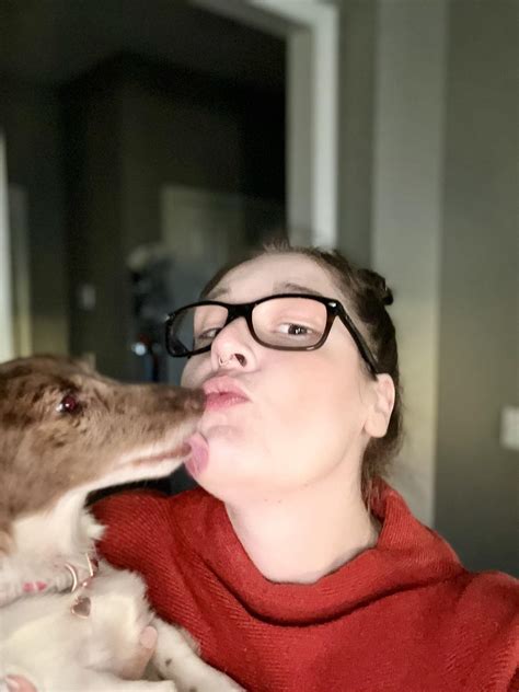 Anyone Else Get Lickies All The Time R Dachshund