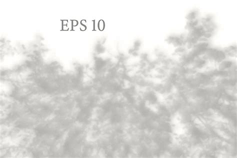 Natural Tree Branch Shadow With Light Effect Overlay For Design