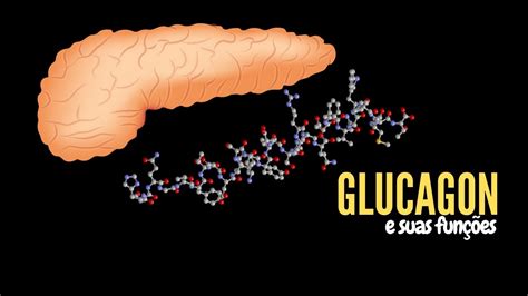 Para Que Serve O Glucagon Fdplearn
