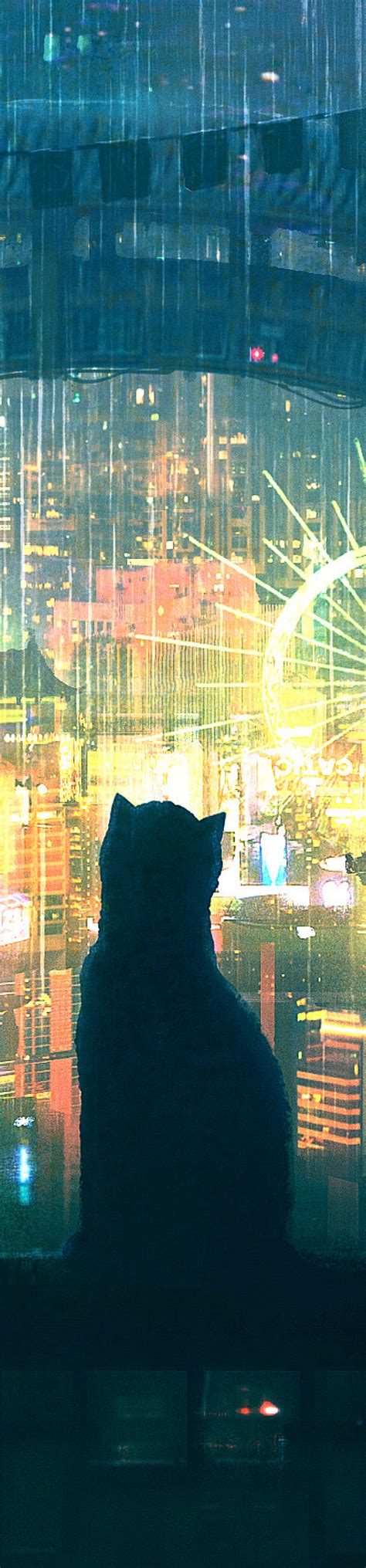 700x3000 Lonely Cat In Rain 4k 700x3000 Resolution Wallpaper Hd Artist