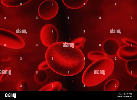 Blood Cells Floating Illustration Stock Photo Alamy