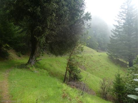 Grasshopper Grasshopper Trail River Trail And Bull Creek Trail South