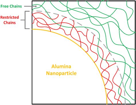 Schematic Of Free And Restricted Polymer Chains In The Presence Of