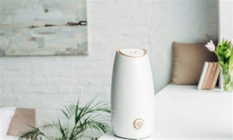 What Is The Difference Between A Diffuser And A Humidifier