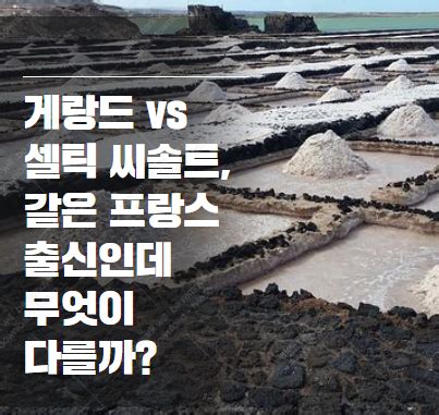 프랑스 게랑드 소금과 셀틱 씨솔트의 차이점이 궁금할 때