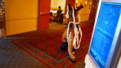 Skypro Fursuits Telephone Furry Furry Videos Fursuit