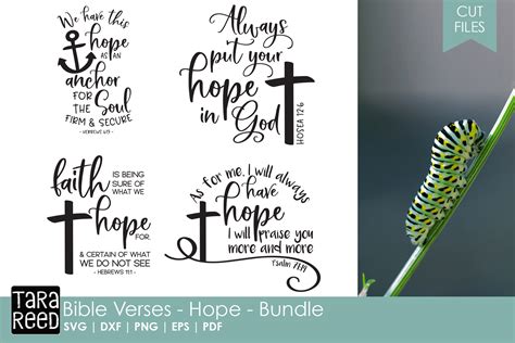 Bible Verses About Hope Bundle 86658 Cut Files Design Bundles