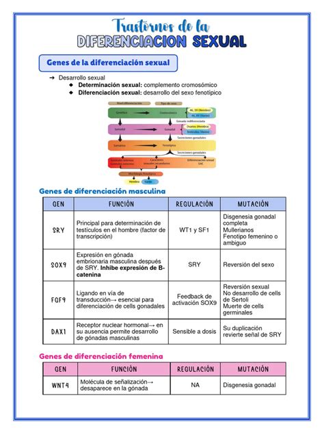 Trastornos De La Diferenciación Sexual Pdf Intersexual Biología