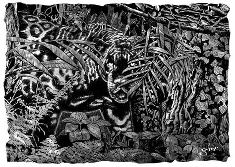 Gary Mccluskey Hireillo Hire An Illustrator