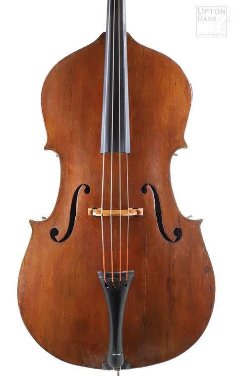 Contrabassen Strijkinstrumentenshopnl