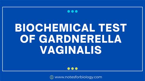 Biochemical Test Of Mycobacterium Tuberculosis