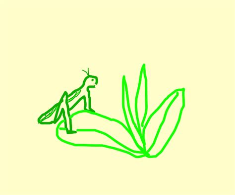 Grasshopper Drawception